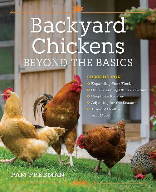 タイトル: Backyard Chickens Beyond the Basics著者: Pam Freeman出版社: Voyageur Press出版日: 2017年03月02日古本非常に良い。端が少し摩耗しているが、汚れのないきれいな...