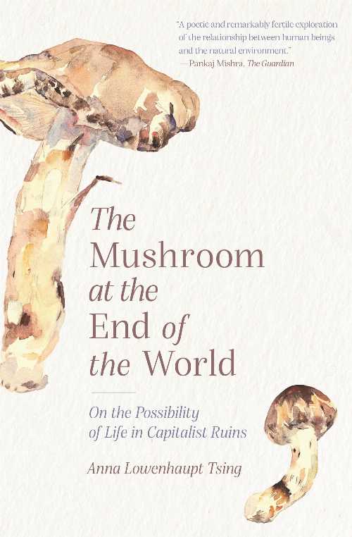 タイトル: The Mushroom at the End of the World著者: Anna Lowenhaupt Tsing出版社: Princeton University Press出版日: 2021年06月08日新しい本新古...