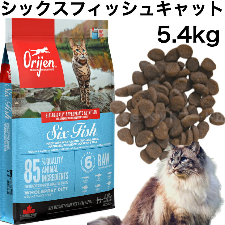 商品情報 商品特徴 新鮮な魚を主原料に使用した高たんぱくな総合栄養食です。イワシ・ヘイク・サバ・ヒラメなどの良質な魚を豊富に配合し、DHA・EPAを含むオメガ3脂肪酸が愛犬の健康維持をサポートします。 原材料 生の丸ごとイワシ（28%）、生...