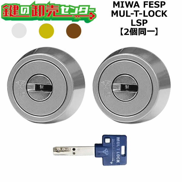 マルティロック LSP 2個同一シリンダー 付属キー 3本 シリンダー色 シルバー、ゴールド、ブラウン 納期 通常2〜5営業日前後で出荷可能。在庫切れ等で納期がかかる場合、ご注文後、メールで連絡いたします。 フロント刻印例 MIWA FES...