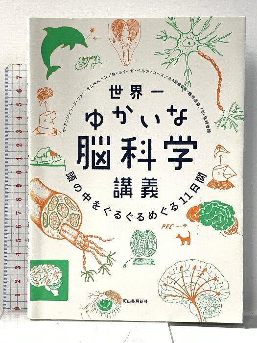 【中古】世界一ゆかいな脳科学講義: 頭の中をぐるぐるめぐる11日間 河出書房新社 アンジェリク・ファン・オムベルゲン　SKU00E-251110022008001-000　jan9784309254173　コンディション中古 - 可　コンデ...