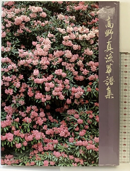 【中古】高野真流華譜集 高野真流華道本庁編 平成元年 　SKUDAP-260321004006001-000　jan　コンディション中古 - 可　コンディション説明表紙にスレ、ヨレ、ヤケ、シミ、傷み、天地小口にヤケ、スレ、シミ、本に多少のヤ...