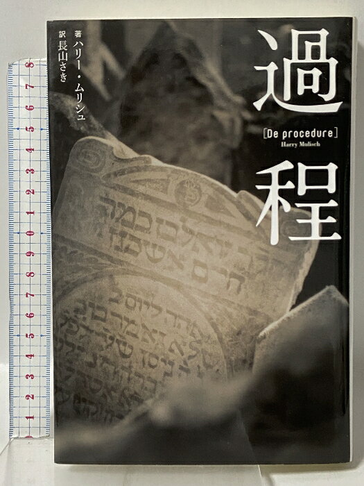【中古】過程 国書刊行会 ハリー ムリシュ　SKU04M-260423009009001-000　jan9784336052797　コンディション中古 - 良い　コンディション説明表紙にスレ、ヨレ、天地小口にスレ、ヨレ、があります。本は良好...