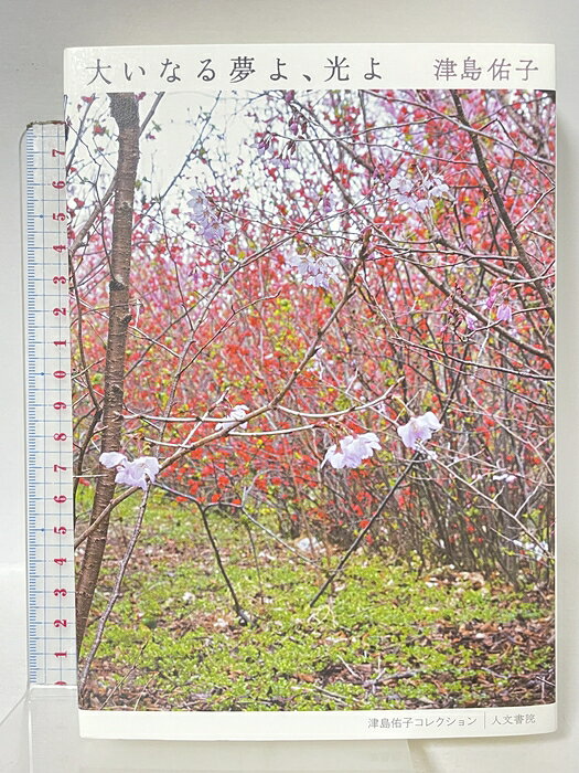 【中古】大いなる夢よ、光よ (津島佑子コレクション) 人文書院 津島 佑子　SKU02G-260618015050001-002　jan9784409150313　コンディション中古 - ほぼ新品　コンディション説明使用感少なく良好です。※...
