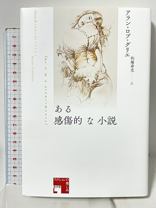 【中古】ある感傷的な小説 (フィクションの楽しみ) 水声社 アラン・ロブ?グリエ 的場寿光訳　SKU03K-260622015004001-000　jan9784801004597　コンディション中古 - ほぼ新品　コンディション説明使用感...