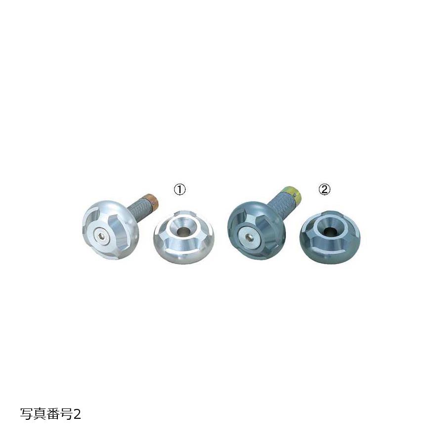 メーカー名：アントライオンメーカー品番：19002-BK販売備考：Kawasaki車純正ハンドルには取り付け不可　左右セット色[カラー]：ブラックネジサイズ：M8キット内容：バーエンド左右セット、専用アンカーボルト備考：Kawasaki車純...