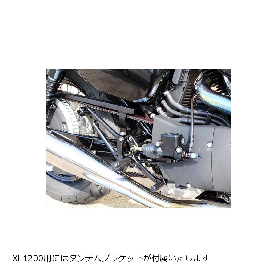 メーカー名：ベビーフェイスメーカー品番：002-HD006BKTc4ポジション可変のバックステップキットです。ノーマルシートでも違和感なく使用でき、なおかつスポーティーな走行が楽しめるポジションで、着脱式のタンデムブラケットが付属いたします...