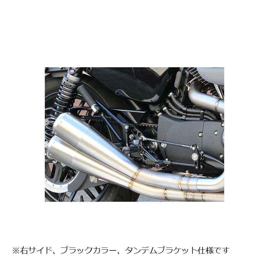 メーカー名：ベビーフェイスメーカー品番：002-HD010BKT2ポジション可変のバックステップキットです。ノーマルではスポーティーな走行に向かないため、200mm以上ステップ位置をバックさせました。脱着式のタンデムブラケットがセットになっ...
