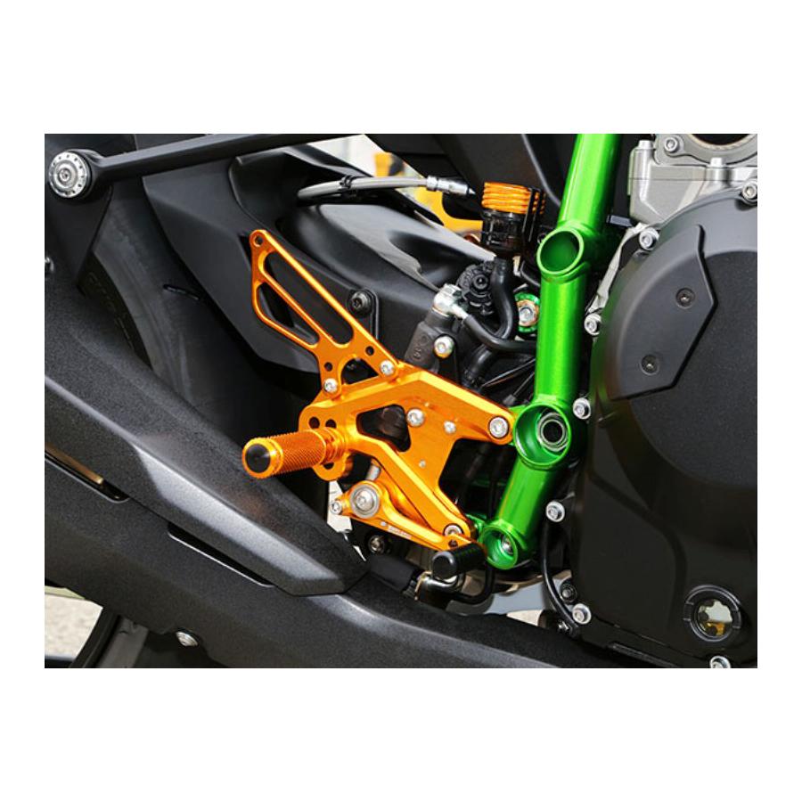 メーカー名：ベビーフェイスメーカー品番：002-K026GDステップ位置は5ヶ所から選択していただける設計です。 シフトパターンは、サーキット走行等も考慮し、正、逆の2モデルをご用意いたしました。 カラーはブラック、ゴールドです。また、オプ...