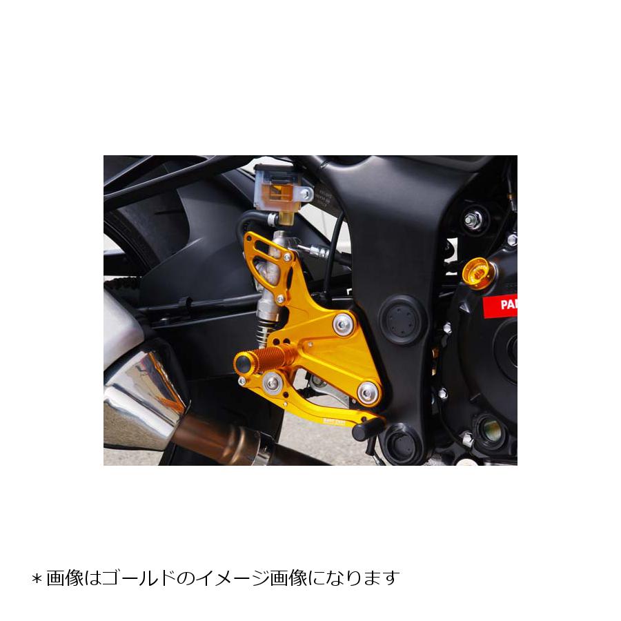 メーカー名：ベビーフェイスメーカー品番：002-S015BKシンプルなワンプレートタイプの、4ポジション可変のバックステップキットです。 ステップバーには切削ロレット加工を施しており、抜群のグリップ感を得ていただけます。 また両ペダルにはベ...