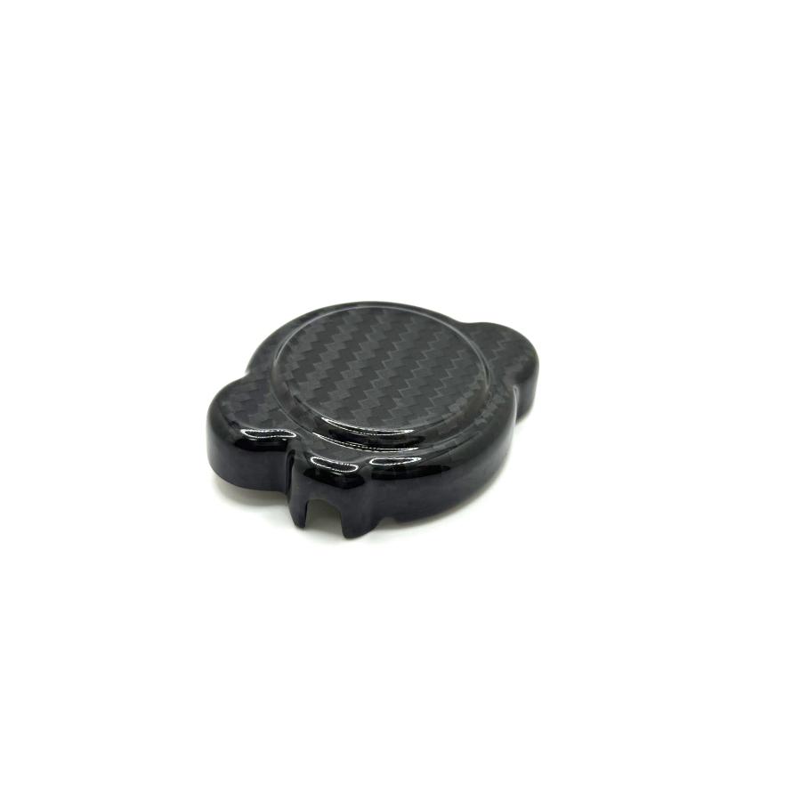 メーカー名：ストライカーメーカー品番：SAD-CRCC158DC販売備考：キャンセル不可商品です。綾織ドライカーボン (クリア塗装仕上げ)