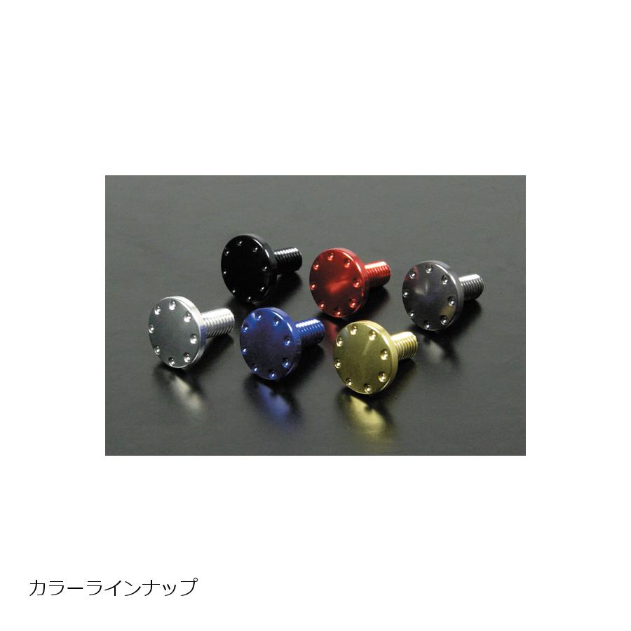 メーカー名：スペシャルパーツタケガワメーカー品番：06-11-0020販売備考：50ccライセンスプレート対応色[カラー]：ゴールド材質[素材]：アルミ材削り出し／アルマイト仕上げ内容量[数量]：2個1セット備考：※対象ライセンスプレートは...