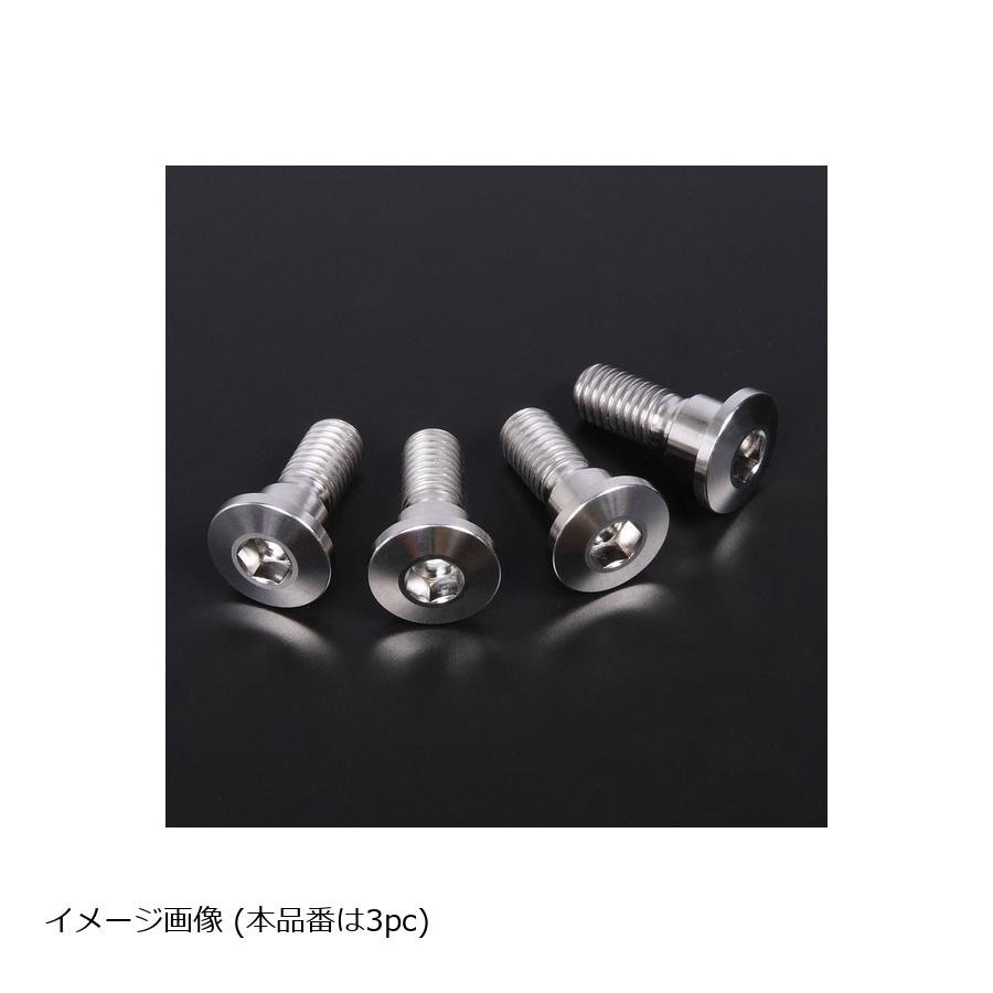 メーカー名：ジータメーカー品番：ZT31-3763◆ZETA チタン製 ディスクボルトは作業性を重視し、頭部形状を純正品とは異なる形に設計 ◆64チタンの強度の優位性から、工具の掛代を増やすことに成功 ◆また、純正ディスクボルトの中には必要...