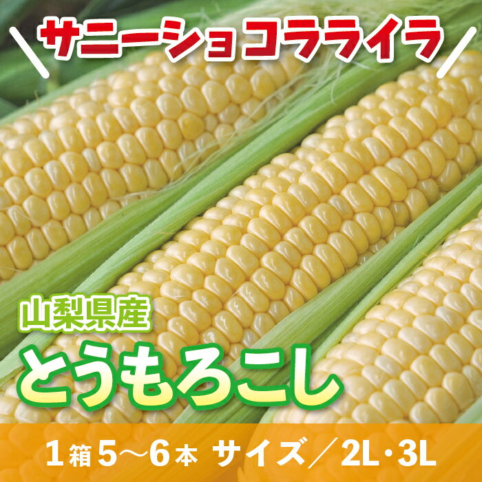※実際の商品とは若干異なる場合がございます。予めご了承ください。