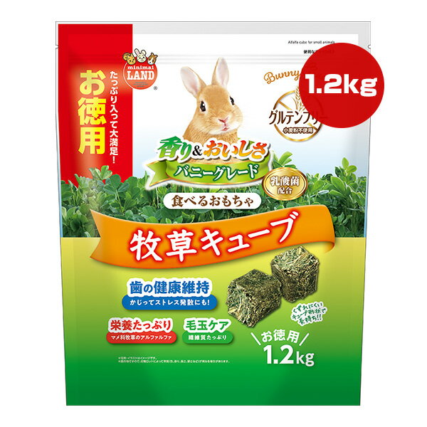 【同梱可】 ・タンパク質・ミネラルが豊富な、小動物用グルテンフリーの補助食です。 ・かじることで、歯の伸びすぎ防止やストレス解消に役立ちます。 ・くずれにくいキューブ形状なので、おでかけ時にも適しています。 ・乳酸菌が腸内フローラを整え、お...