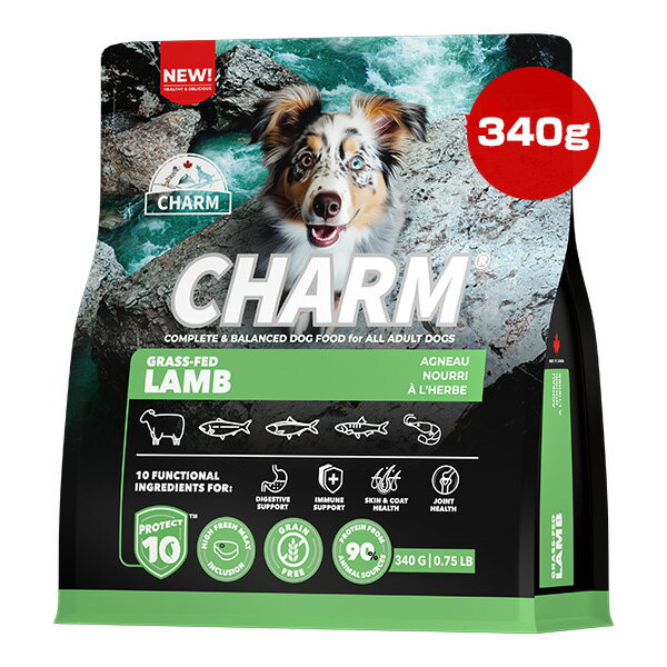 【同梱可】 新鮮ラム肉をはじめ、栄養と美味しさを追求し、肉と機能性原材料を豊富に使用したレシピを作りあげました。 ●原材料 新鮮ラム肉(17％)、ラムミール(15％)、ピンクサーモンミール(7％)、ヒヨコ豆、丸ごとグリーンピース、丸ごとイエ...