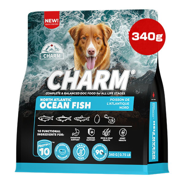 【同梱可】 新鮮サーモンをはじめ、栄養と美味しさを追求し、魚と機能性原材料を豊富に使用したレシピを作りあげました。 ●原材料 新鮮サーモン(18％)、ニシンミール(10％)、ゴマサバミール(8％)、ヒヨコ豆、丸ごとグリーンピース、丸ごとイエ...