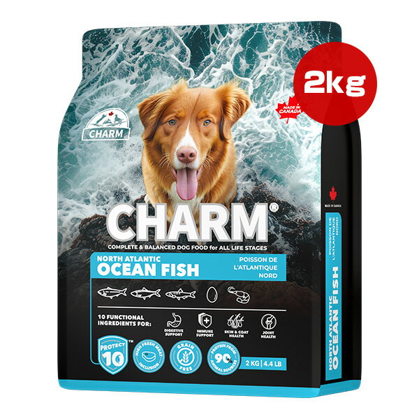 【送料無料・同梱可】 新鮮サーモンをはじめ、栄養と美味しさを追求し、魚と機能性原材料を豊富に使用したレシピを作りあげました。 ●原材料 新鮮サーモン(18％)、ニシンミール(10％)、ゴマサバミール(8％)、ヒヨコ豆、丸ごとグリーンピース、...