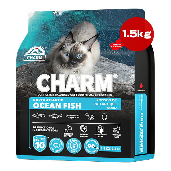 【送料無料・同梱可】 新鮮サーモンをはじめ、栄養と美味しさを追求し、魚と機能性原材料を豊富に使用したレシピを作りあげました。 ●原材料 新鮮サーモン(20％)、ニシンミール(16％)、ゴマサバミール(12％)、キャノーラ油、丸ごとグリーンピ...