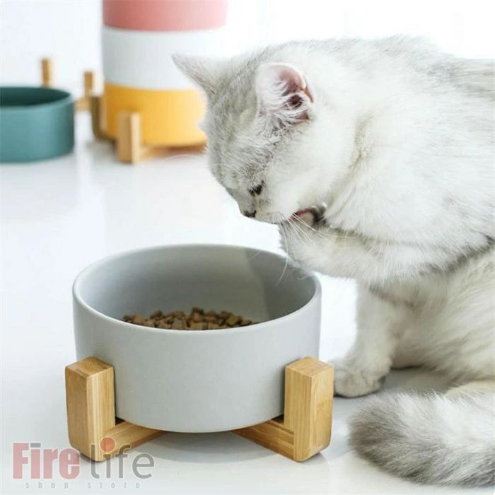 猫用食器 犬用食器 小型犬 大型犬 フードボール 1個 2個 フードボウル 餌皿 エサ皿 陶器 スタンド 食べやすい ペット用品 スタンド 無地 木製棚 猫用 餌入れ 水飲み 水入れ 皿 スタンド 食べやすい ペット用品 スタンド 無地 木...