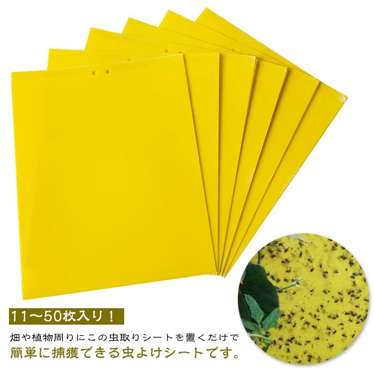 11～50枚入り！畑や植物周りにこの虫取りシートを置くだけで簡単に捕獲できる虫よけシートです。大容量の50枚セットなので、農家の方々にもおすすめです。無農薬野菜、無農薬栽培をされている方にも。一度虫が粘着に貼りついたら逃げ出すことはできない...