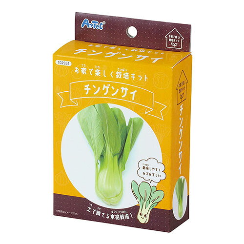 レビューを書いて　緑花堂5％OFFクーポンGET！レビューを書いたらメールでお知らせくださいね 【5個セット】 ARTEC お家で楽しく栽培キット チンゲンサイ 土で育てる野菜の栽培キット ASNATC102931X5|雑貨・ホビー・インテ...