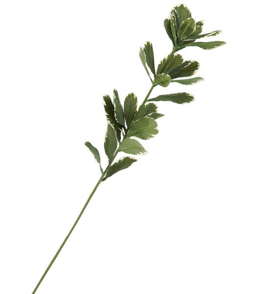 レビューを書いて　緑花堂5％OFFクーポンGET！レビューを書いたらメールでお知らせくださいね【 サイズ 】全長65cm　葉径5〜9cm 【 素　材 】ポリエステル ◇カテゴリ◇ 花・ガーデン・DIY >> 花・観葉植物 >> 造花・人工観...