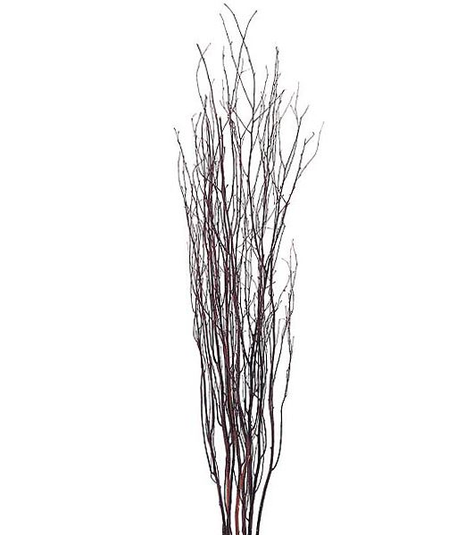 レビューを書いて　緑花堂5％OFFクーポンGET！レビューを書いたらメールでお知らせくださいね【 サイズ 】全長100cm　直径1〜4cm 【 素　材 】天然素材 【 カラー 】000）ナチュラル 【 数　量 】1パック8本入り ※こちらの...