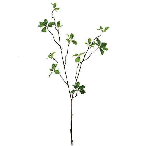 レビューを書いて　緑花堂5％OFFクーポンGET！レビューを書いたらメールでお知らせくださいね【 サイズ 】全長70 葉径2〜4cm 【 素　材 】ポリエステル ◇カテゴリ◇ 花・ガーデン・DIY >> 花・観葉植物 >> 造花・人工観葉植...