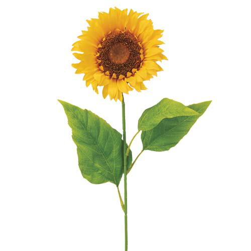 ◆商品詳細 商品説明 商品番号 ONSFLSP3954 寸法 全長75花径17葉径12?19 素材 ポリエステル レビューを書いて　緑花堂5％OFFクーポンGET！レビューを書いたらメールでお知らせくださいねレビューを書いて緑花堂5％OFF...