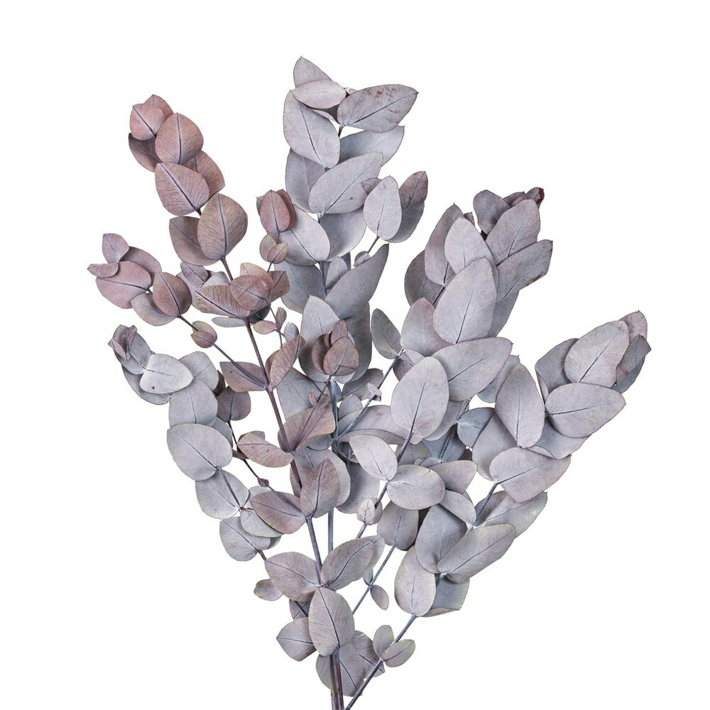 レビューを書いて　緑花堂5％OFFクーポンGET！ レビューを書いたらメールでお知らせくださいね ●商品名ユーカリ丸葉レッドプリザーブドフラワーリーフユーカリ ●商品番号TDLFL007091-830 ●商品説明ブランドレッドのユーカリ丸葉...