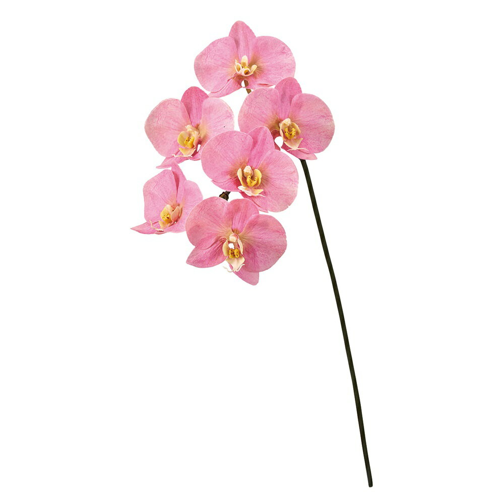 レビューを書いて　緑花堂5％OFFクーポンGET！ レビューを書いたらメールでお知らせくださいね ●商品名ミカエラファレノプシスピンクアーティフィシャルフラワー造花胡蝶蘭ファレノ ●商品番号TDLFW093450-002 ●商品説明と並ぶハ...