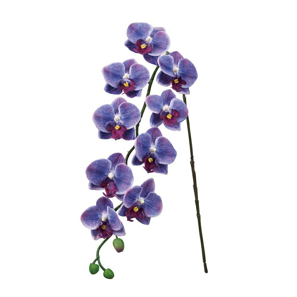 レビューを書いて　緑花堂5％OFFクーポンGET！ レビューを書いたらメールでお知らせくださいね ●商品名モアナファレノパープルアーティフィシャルフラワー造花オーキッド蘭 ●商品番号TDLFM000504-017 ●商品説明ブランド今までの...