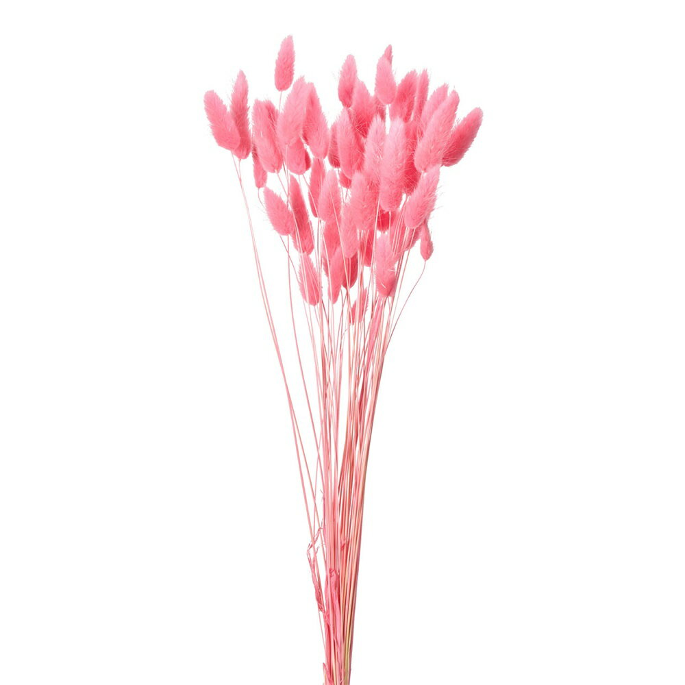 レビューを書いて　緑花堂5％OFFクーポンGET！ レビューを書いたらメールでお知らせくださいね ●商品名ラグラスフラミンゴドライフラワーカラー ●商品番号TDLFD042050-016 ●商品説明カラーフラミンゴのラグラスドライフラワー。...