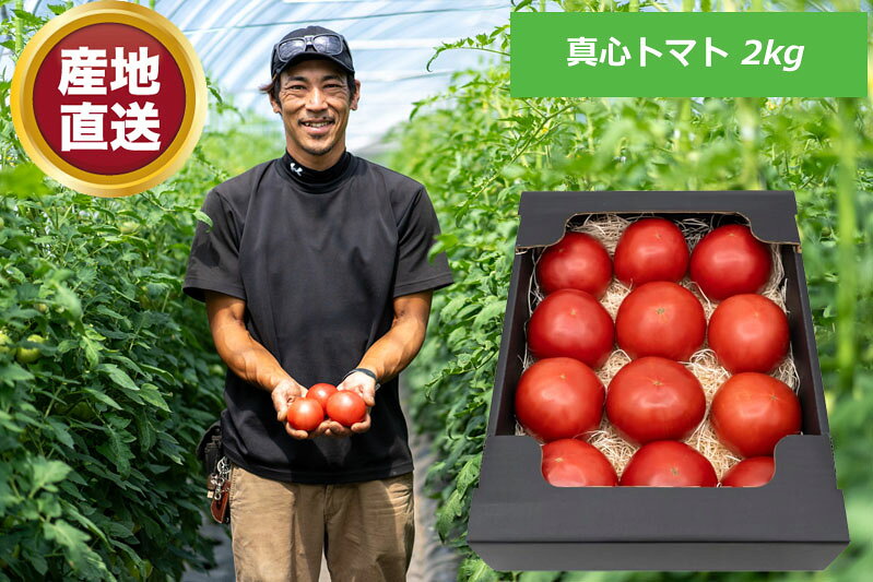 収穫したトマトの中から、熟度、色、形など状態のいいものを真心込めてセレクトしました。 飛騨高山の朝採れトマト。水々しく、甘味と酸味のバランスがいい美味しいトマトです。 ▼品種・味の特徴 品種：麗月（れいげつ） 「なんか、なつかしい味がする」...