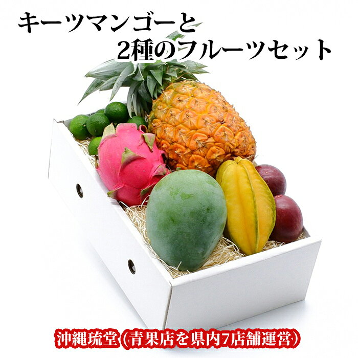 商品説明名称キーツマンゴーと2種のフルーツセット 産地名沖縄県内容量キーツマンゴーと2種のフルーツ ※2種類のフルーツは「沖縄県産パイナップル1個・ドラゴンフルーツ赤1個・フルーツパパイヤ1個・シークワーサー200g・パッションフルーツ2個...