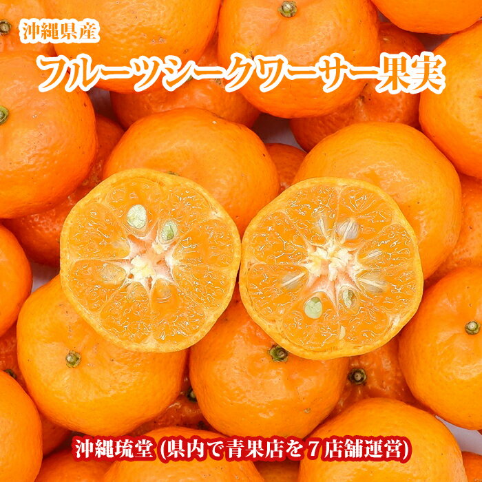 商品説明名称フルーツシークワーサー果実 (黄金(くがに)シークワーサー) 産地名沖縄県保存方法冷蔵庫・冷凍庫で保存&nbsp;