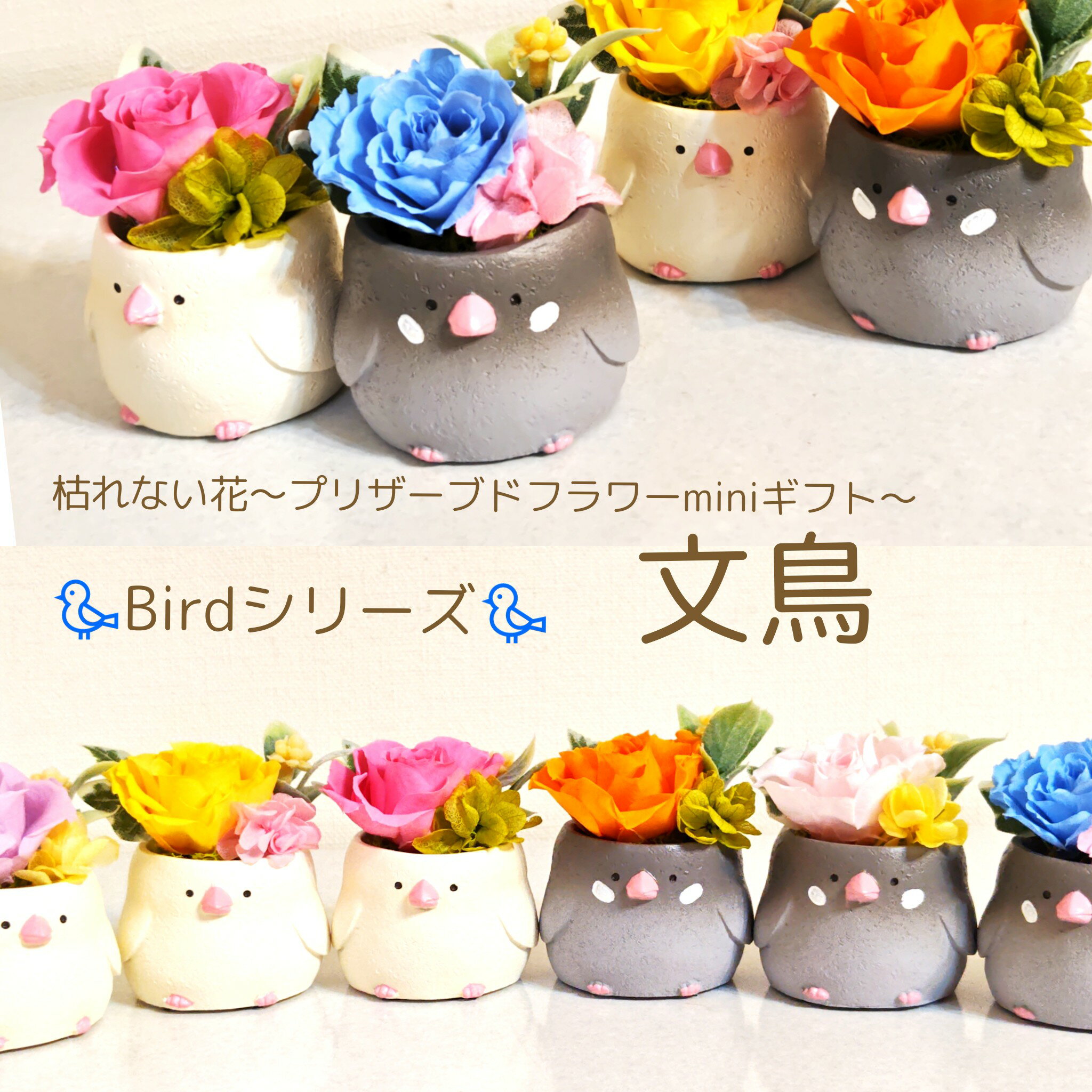 プリザーブドフラワー 誕生日 プレゼント 文鳥 鳥 酉年 小さい 花 ミニサイズ アレンジメント 枯れない花 プレゼント バラ 全6色 送料無料 誕生日 結婚記念日 プレゼント お祝い ギフト お見舞 ペット お供え ペット供養 枯れない花...