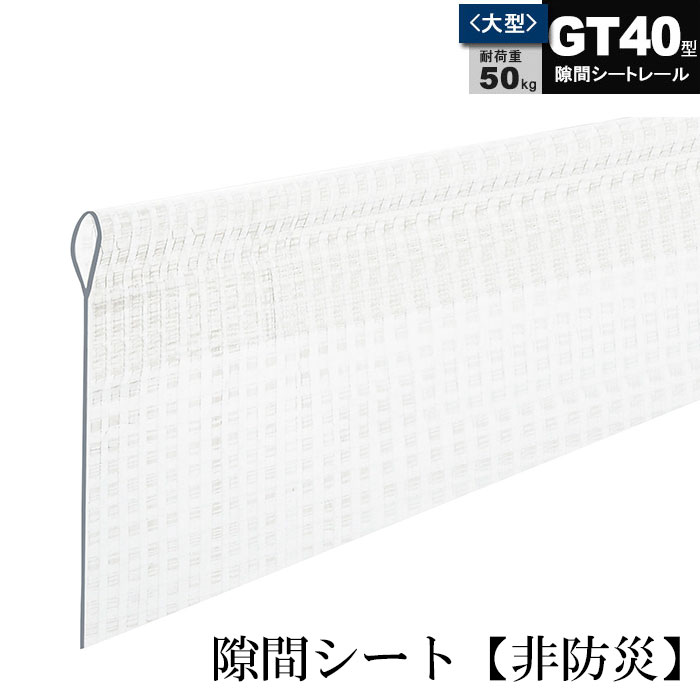 商品詳細 商品名 GT40 隙間シートレール 隙間シート 非防災タイプ≪シートのみ≫【TT20T91】 材質 ポリエチレン0.27mm厚 サイズ (断面図) 高さ200mm ※横幅最長12mまで 概要 ※シートのみです。隙間レールは別売です...