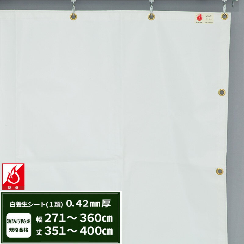 　 商品名 ■【FT13】 エステル防炎1類　建築白養生シート（0.42mmt） 厚み 0.42mmt　 カラー 白色 材質 - 重量 500g/m2 摘要 ●サイズは幅・丈とも、1cm単位にてお受けいたします。●ビニール製の為、仕上りサイ...