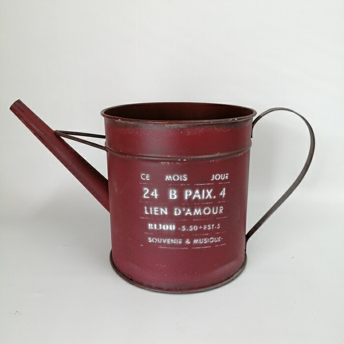 幅40×奥行20×全高21センチ 内寸 口径18×深さ20センチ 底穴あり スチール製 ジョーロタイプのスチールポット ブリキやスチール製のポットは ナチュラルガーデンにおすすめです。 底穴のないポットにはご希望があれば 無料で穴あけ加工も...