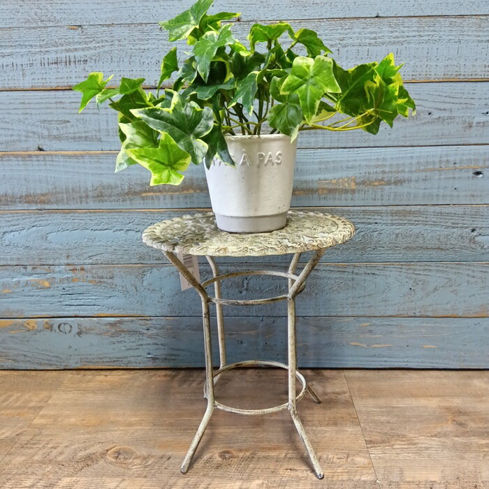 直径25×全高28センチ スチール製 アンティークベージュの フラワースタンド ガーデンラックやフラワースタンド、 花台に飾ることで高低差を出せば 空間に広がりが生まれます。 【注意点】 必ず以下の内容をご確認・ご了承の上、 ご注文をお願い...