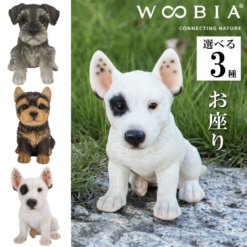共通素材 ポリレジン■お座りシュナウザーサイズ 本体: 11.8 x 9 x 12.3cm (幅x奥x高)重量 250g■お座りヨークシャー・テリアサイズ 本体: 10.9 x 7.3 x 12cm (幅x奥x高)重量 260g■お座りブル...