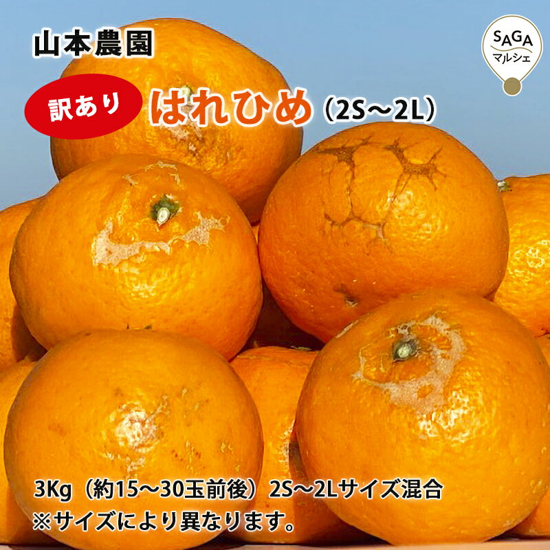酸味が少なく糖度が高いのが特徴で生産者が少なく市場に出回ってない希少な品種！山本農園の自慢のみかんです。味見をして、みかんの完熟状態とおいしさの確認の上収穫してます。一生懸命、手入れして生産しました。【はれひめ】は期待の新品種、ぜひ一度、全...