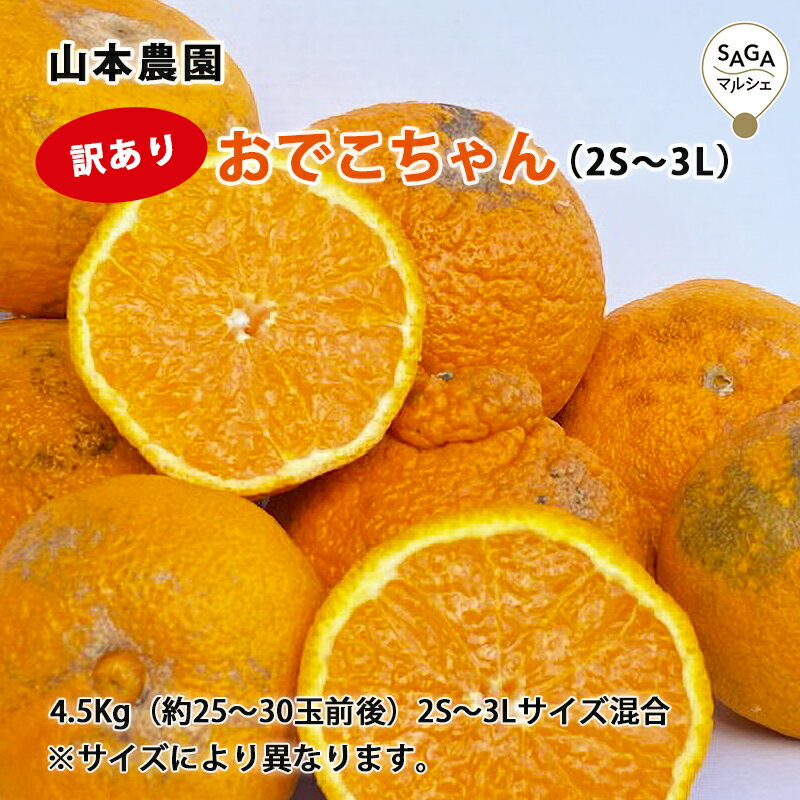【おでこちゃん】は「清見タンゴール」と「中野3号ポンカン」の交配種として誕生したタンゴールです。不知火海という海に面した温暖な地域で多く作られているため、別名「不知火(しらぬひ)」とよばれています。表面に傷果やヤケ果など入りますが、その分★...