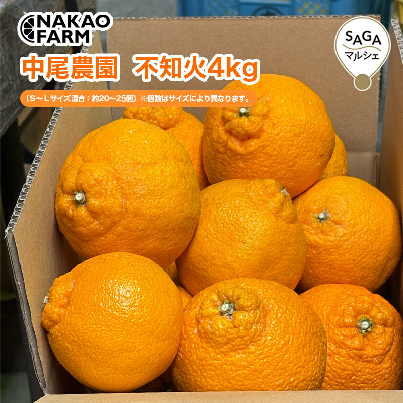 中尾農園のみかんは、太陽の光と海の潮風の自然な環境で愛情込めて育てています。不知火は一つずつ専用の袋をかけて鳥からの攻撃や寒さから果実を守ります・収穫をして長い間保存した不知火はジューシーな果肉と酸味が特徴です。1つ食べて酸味を感じたら2つ...
