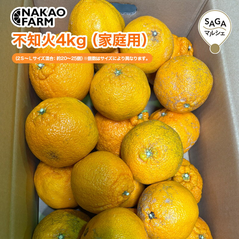 中尾農園のみかんは、太陽の光と海の潮風の自然な環境で愛情込めて育てています。不知火は一つずつ専用の袋をかけて鳥からの攻撃や寒さから果実を守ります・収穫をして長い間保存した不知火はジューシーな果肉と酸味が特徴です。1つ食べて酸味を感じたら2つ...