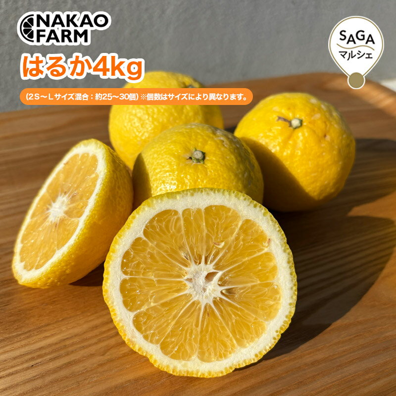 中尾農園のみかんは、太陽の光と海の潮風の自然な環境で愛情込めて育てています。はるかは、見た目は酸っぱそうですが、酸味や苦味は限りなく少ない爽やかな香りが特徴です。ぷるっとした食感で人気のみかんです。皮もサラダやカルパッチョにして食べることが...