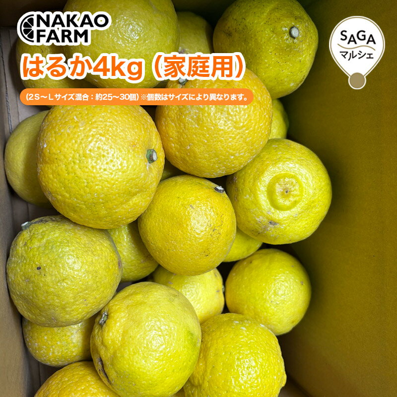 中尾農園のみかんは、太陽の光と海の潮風の自然な環境で愛情込めて育てています。はるかは、見た目は酸っぱそうですが、酸味や苦味は限りなく少ない爽やかな香りが特徴です。ぷるっとした食感で人気のみかんです。皮もサラダやカルパッチョにして食べることが...