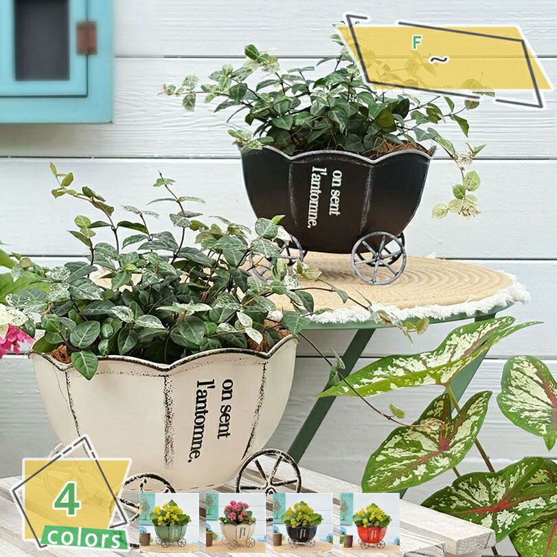 メイン素材：鉄【サイズ】長さ×幅×高さ：具体的な寸法は画像をご参照ください（スタッフ採寸のため、若干の誤差が生じる場合がございます）【丈夫で耐久性のある鉄製素材を使用】 フラワーポットスタンドは非常に頑丈で、重い植物のポットや他のプランター...